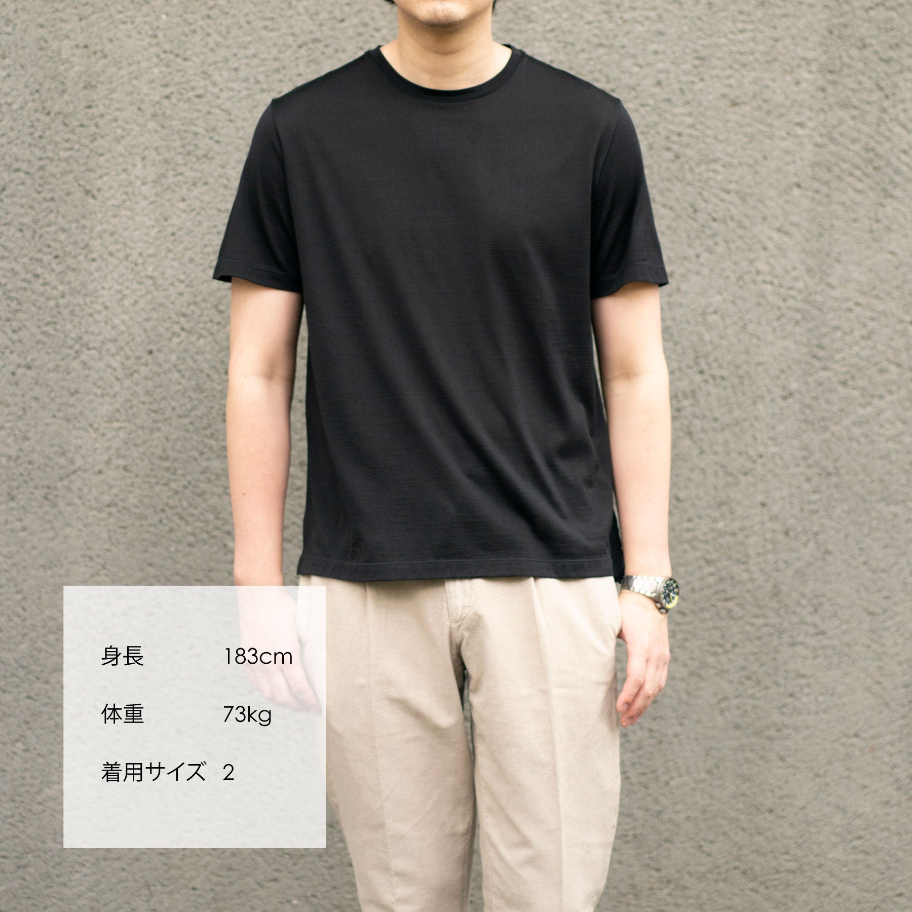 nomiamo（ノミアモ）ウォッシャブルシルク クルーネックTシャツ ブラック【MASTERPLAN（マスタープラン）】